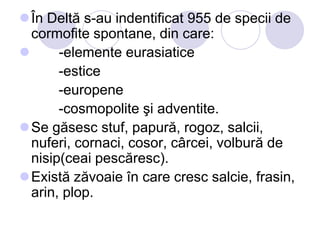 Arii protejate din_romania.barbu mariana | PPT