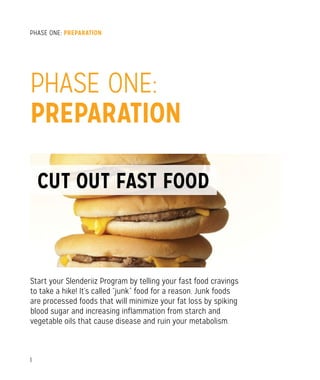 Ariix slenderiiz now_guide | PDF