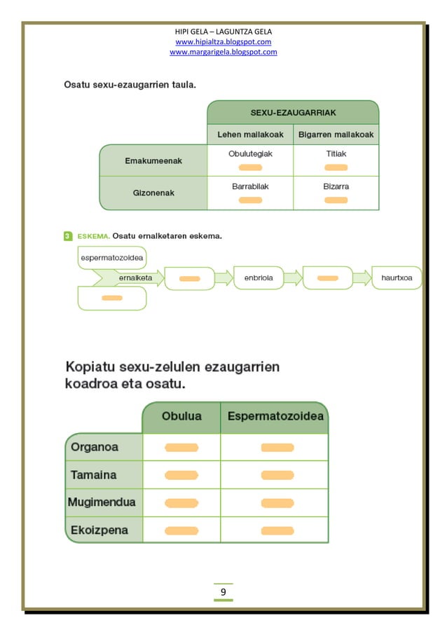 Ariketak 17 | PDF