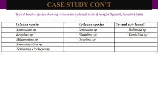 FORAMINIFERA BIOSTRATIGRAPHY AND PALEOENVIRONMENT OF ANAMBRA BASIN.pptx