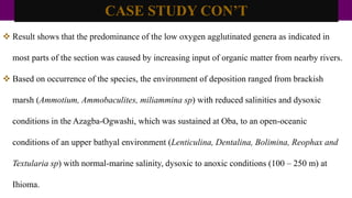 FORAMINIFERA BIOSTRATIGRAPHY AND PALEOENVIRONMENT OF ANAMBRA BASIN.pptx