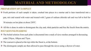 FORAMINIFERA BIOSTRATIGRAPHY AND PALEOENVIRONMENT OF ANAMBRA BASIN.pptx