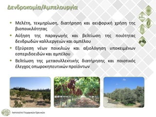 Ινστιτούτο Γεωργικών Ερευνών | PPT