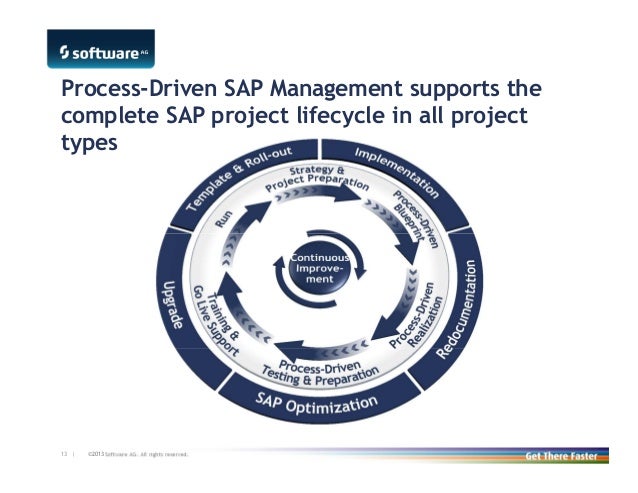 Process-Driven SAP Management for successful SAP Projects