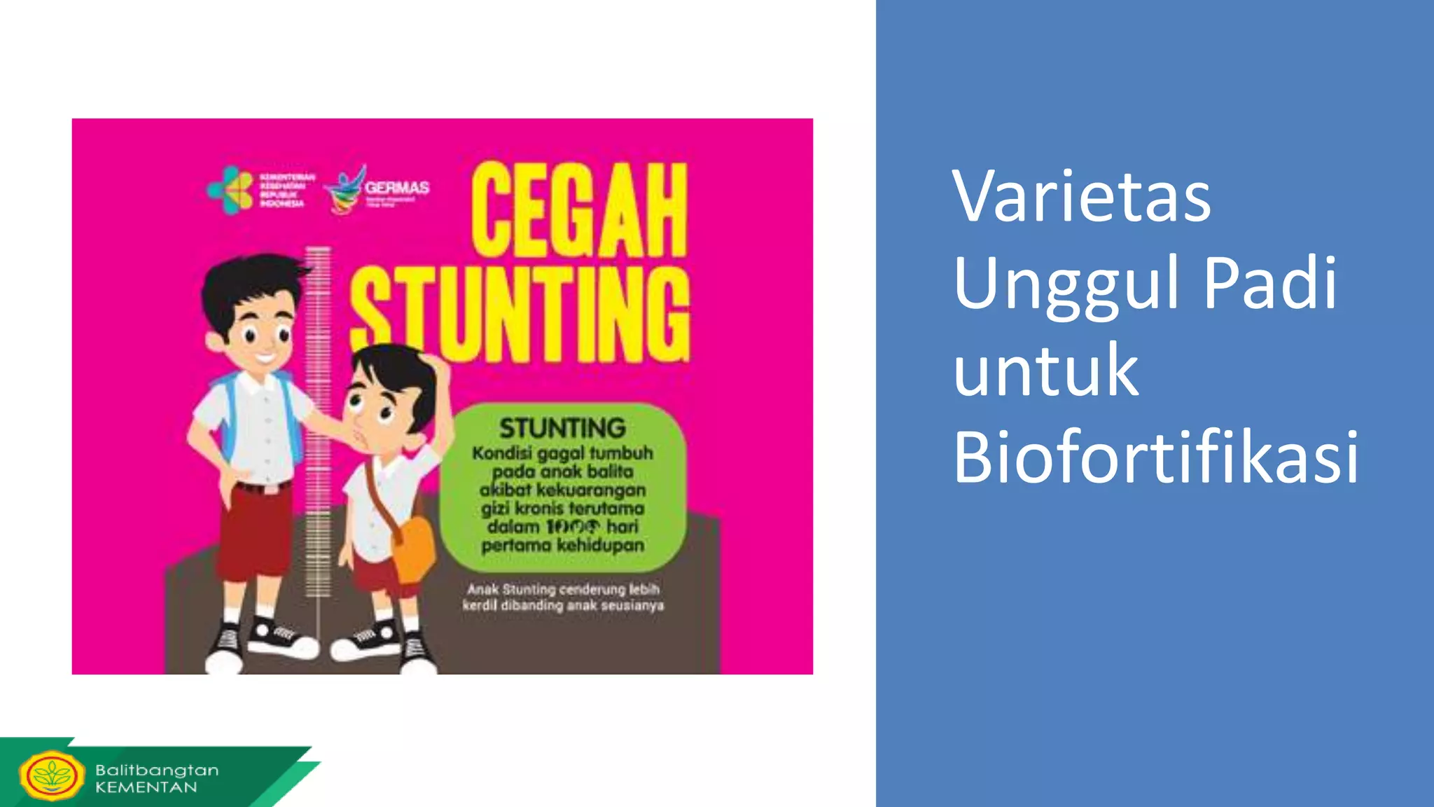 padi-Karakteristik mutu beras.pptx