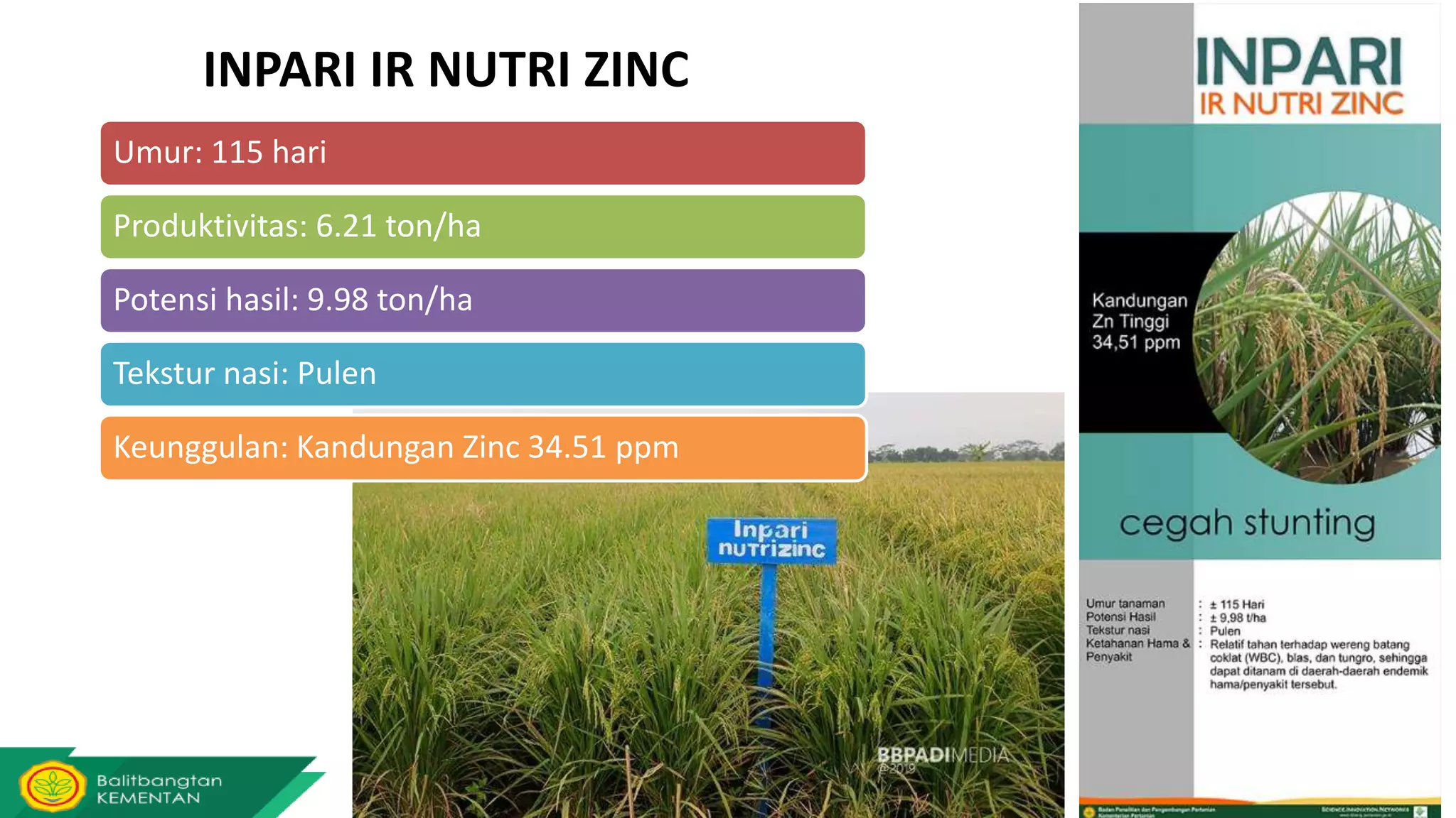 padi-Karakteristik mutu beras.pptx