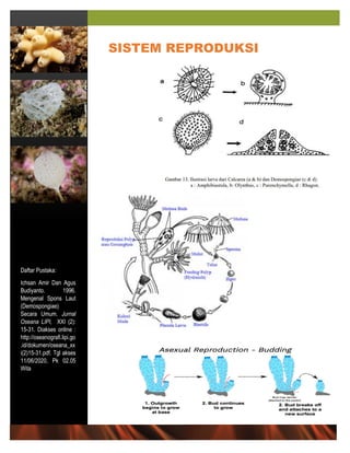 Arishanti 1903010142-artikel porifera | PDF