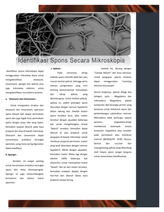 Arishanti 1903010142-artikel porifera | PDF