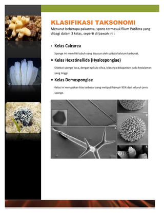 Arishanti 1903010142-artikel porifera | PDF