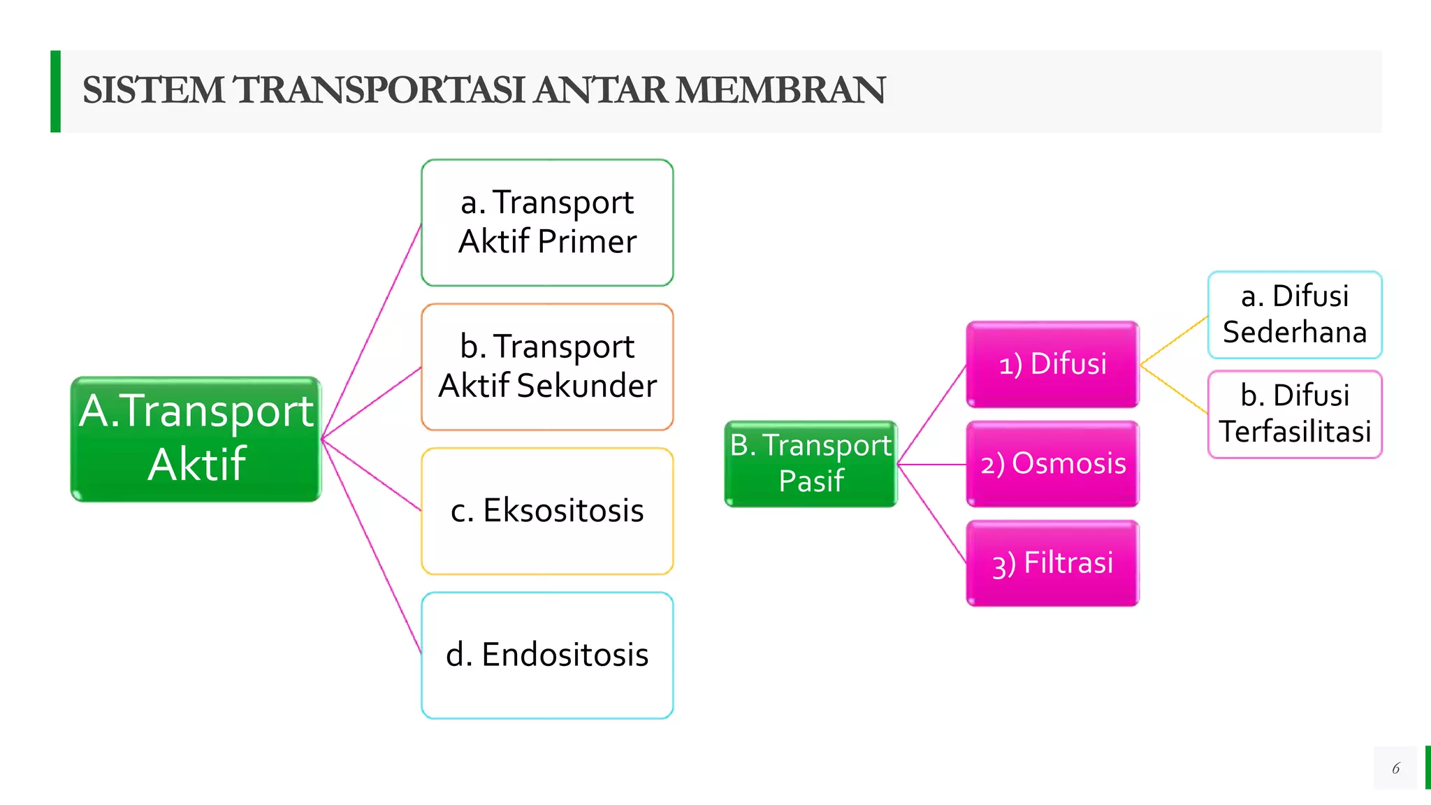 BIOFISIKA: Sistem Endomembran dan Transportasi Antar Membran | PPTX