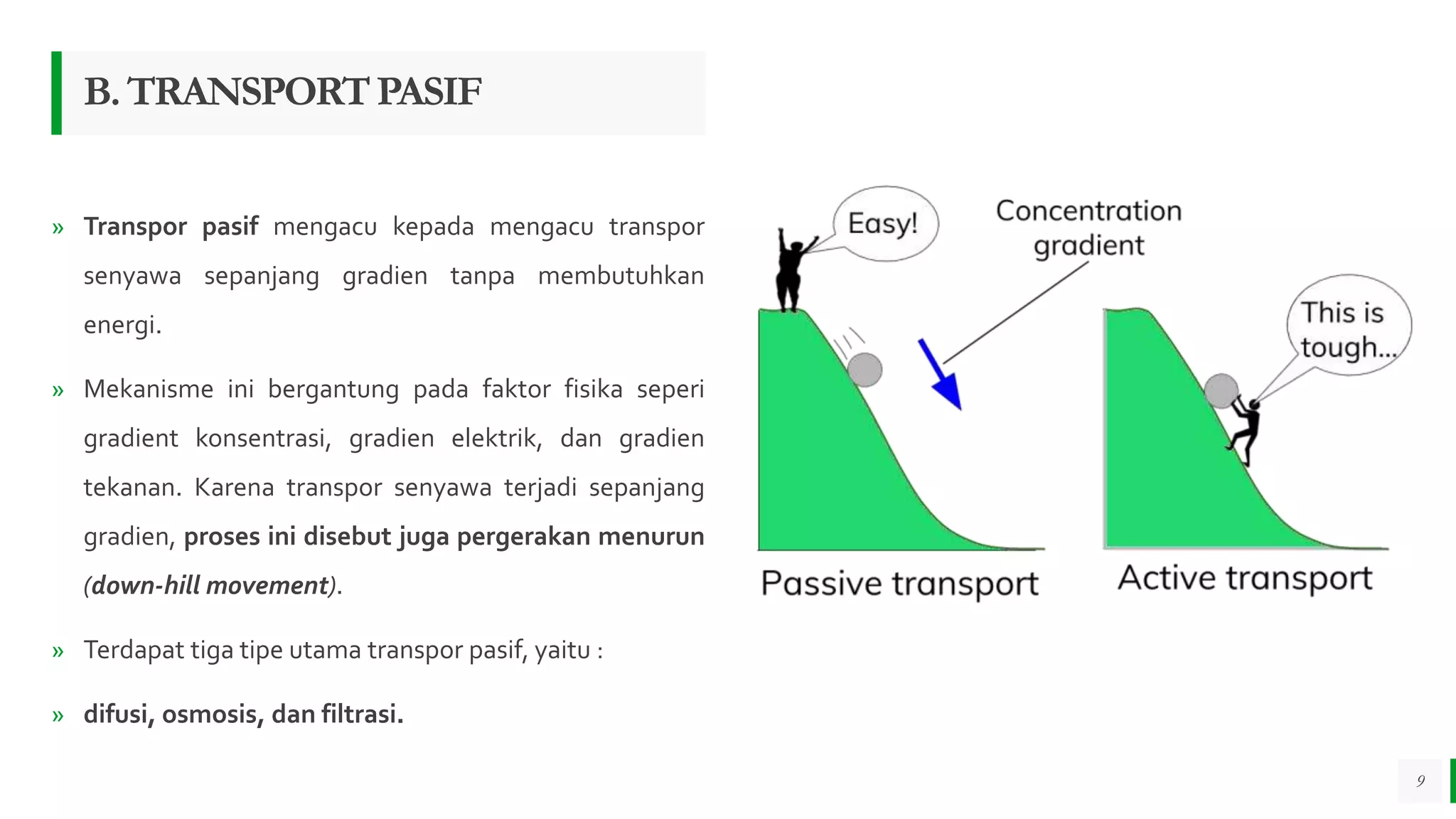 BIOFISIKA: Sistem Endomembran dan Transportasi Antar Membran | PPTX