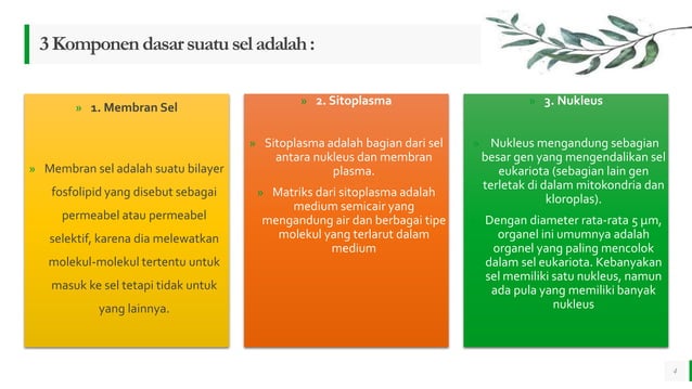 Biofisika Sistem Endomembran Dan Transportasi Antar Membran Ppt 