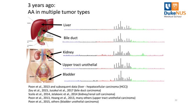 Aristolochic acids in herbal medicine cause cancer | PPT