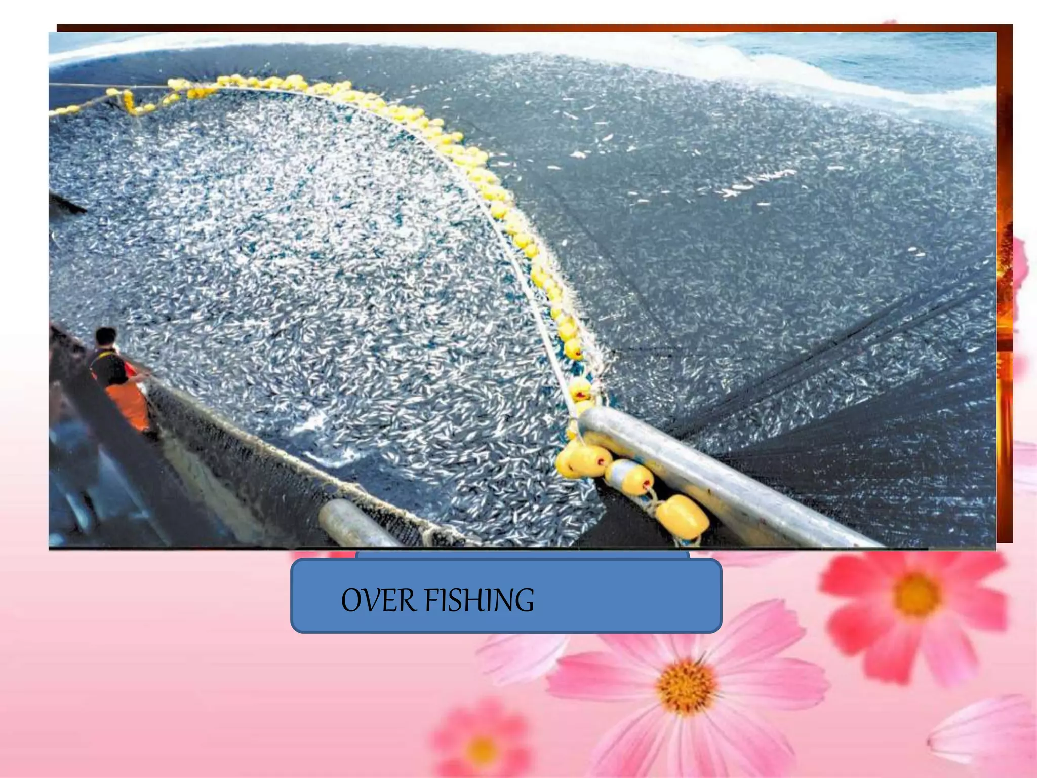 Natural and Man made Hazard in Fisheries and Aquaculture | PPTX