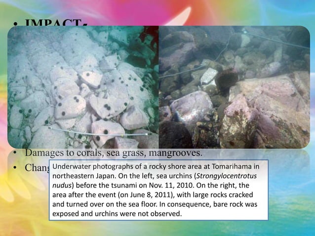 Natural and Man made Hazard in Fisheries and Aquaculture | PPTX ...