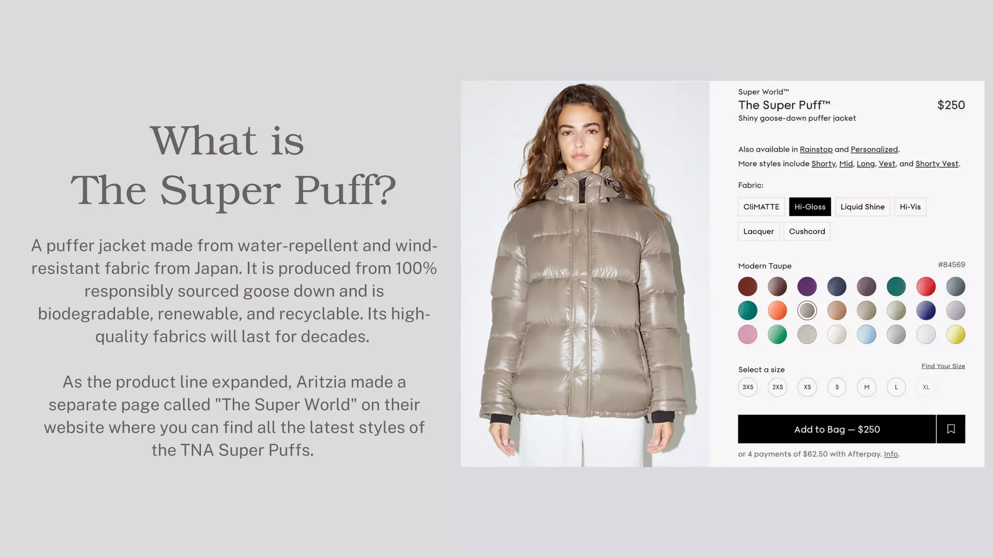 Aritzia's Digital Marketing Campaign - The Super Puff | PDF