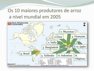 A rizicultura | PPTX
