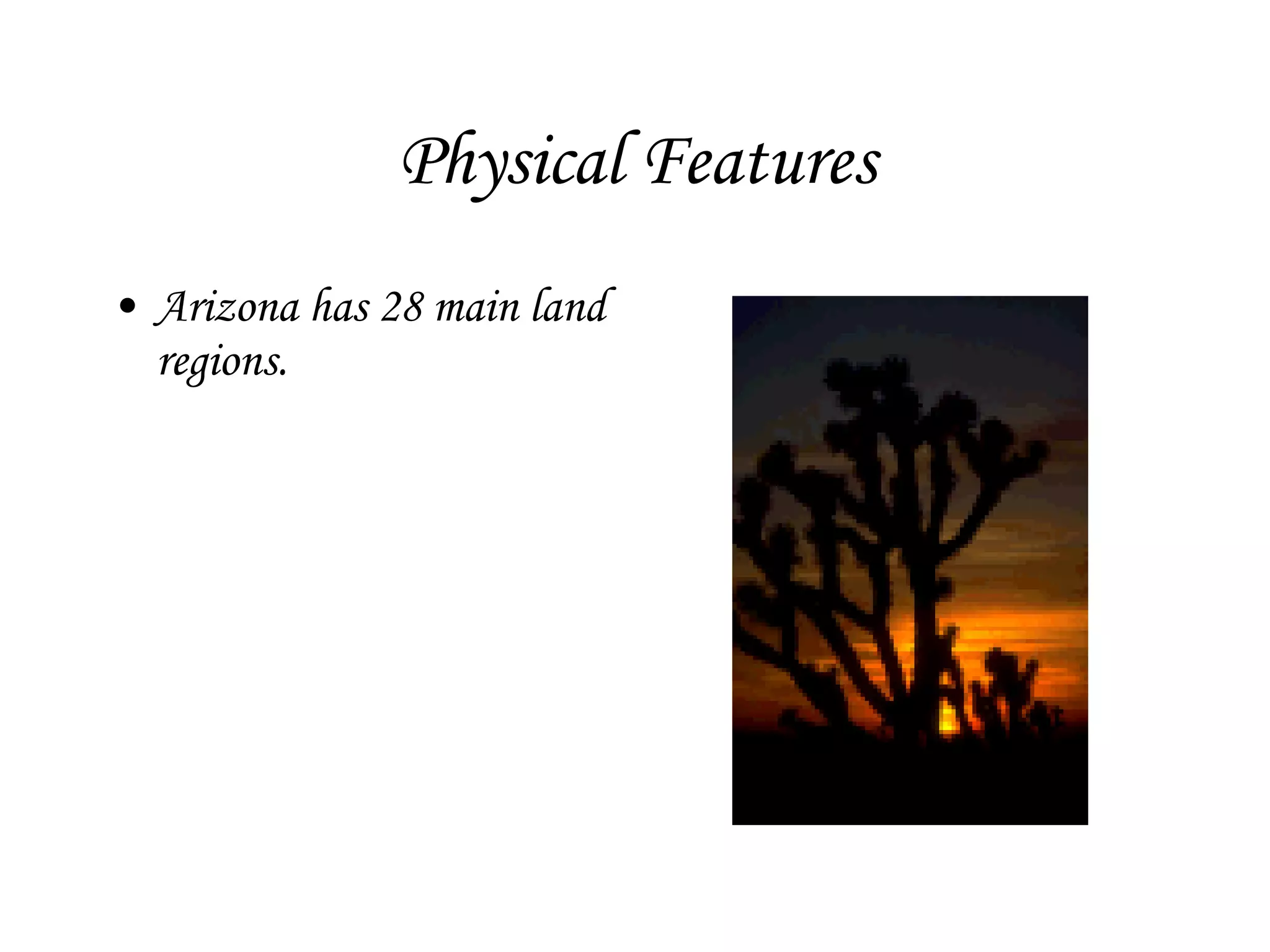 Arizona | PPT