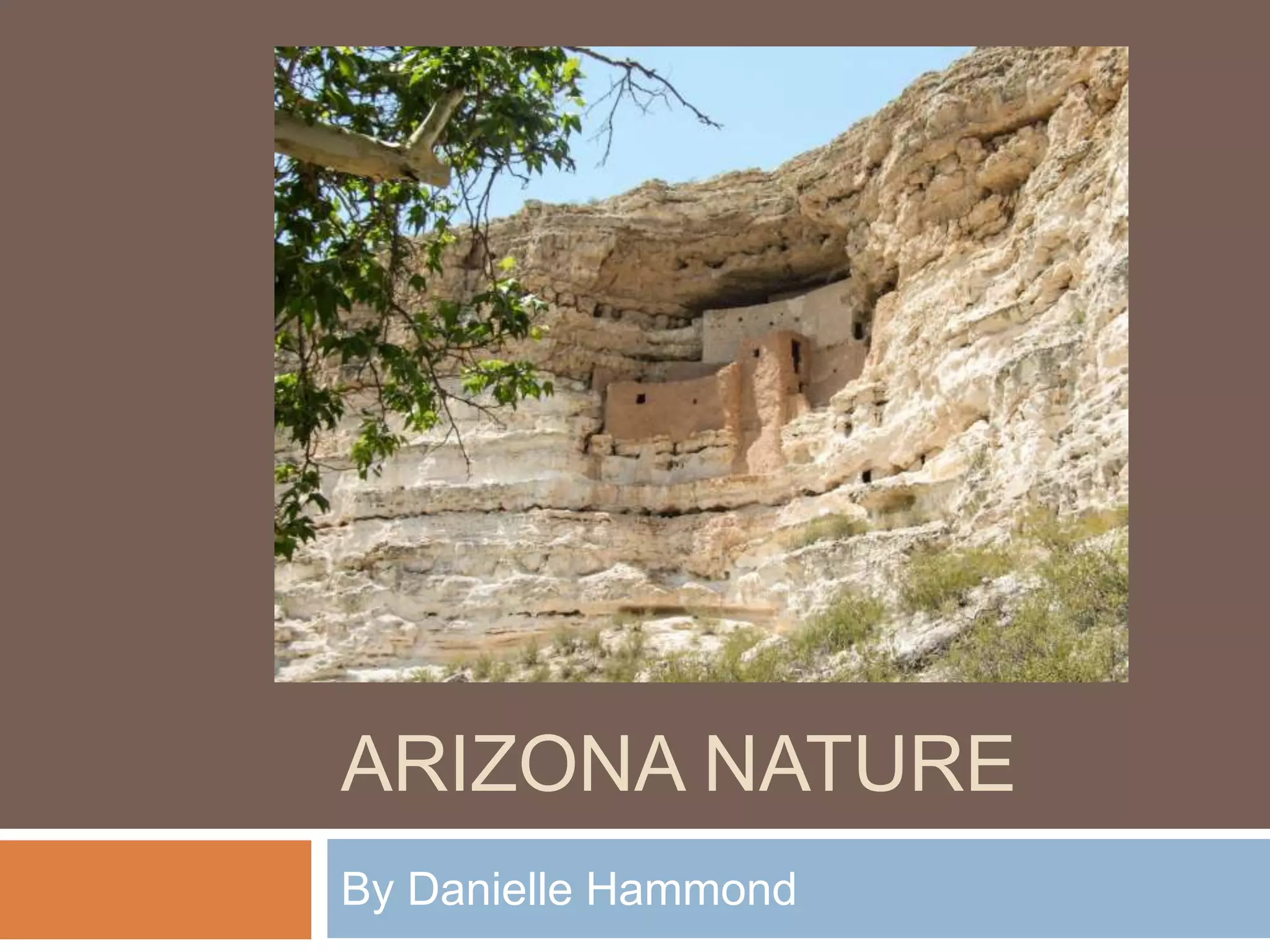 Arizona presentation | PPTX