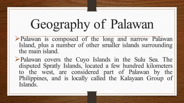 arjaymusicofpalawanrepot-160816124845.pptx