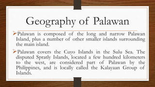 Music of Palawan | PPTX