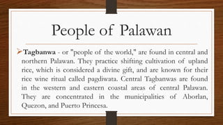 Music of Palawan | PPTX
