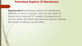 Presentation of premature rupture of membrane | PPT