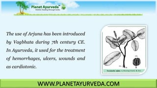 Terminalia arjuna health benefits | PPTX
