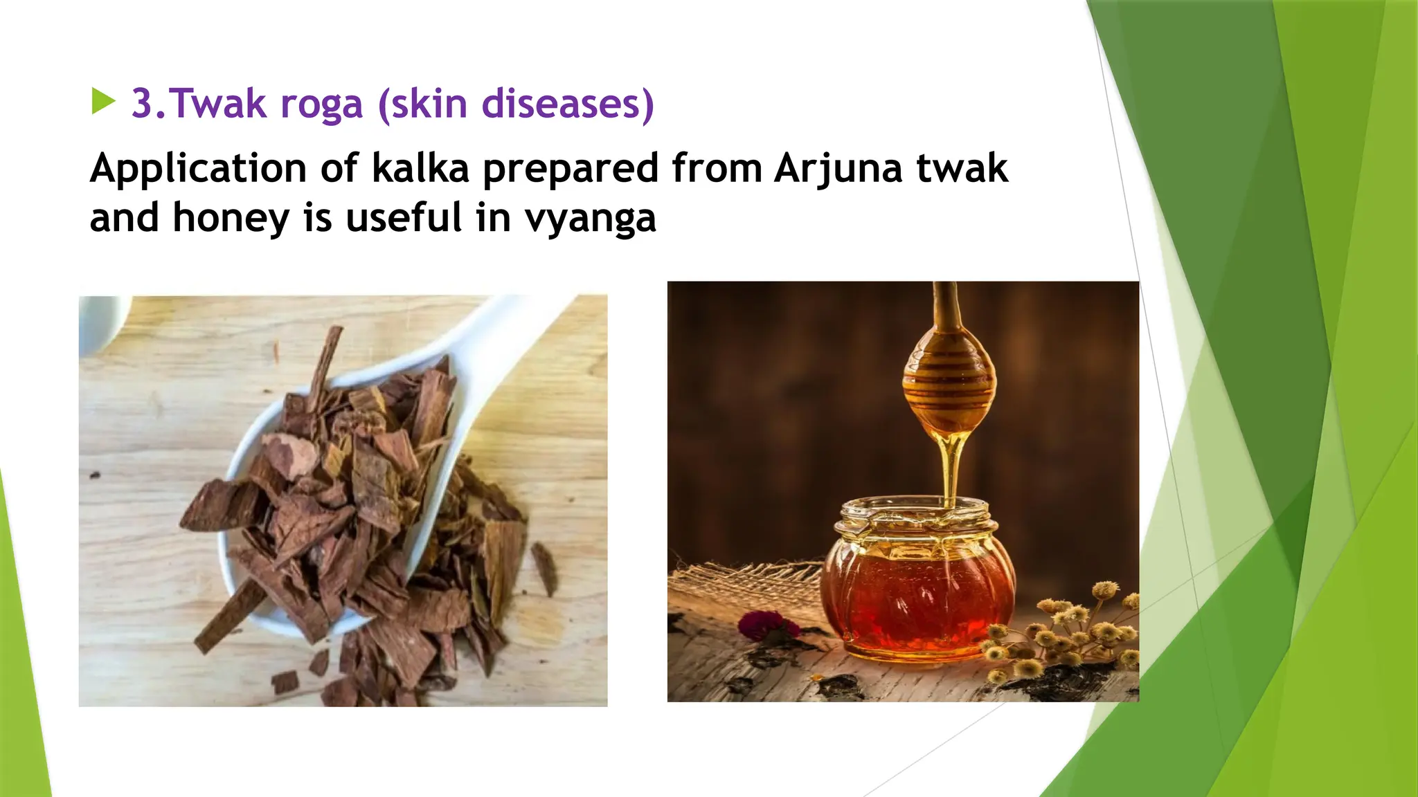 arjuna.pptx dravya guna ayurveda presentation | PPTX