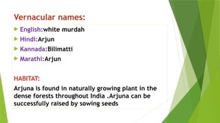 arjuna.pptx dravya guna ayurveda presentation | PPTX