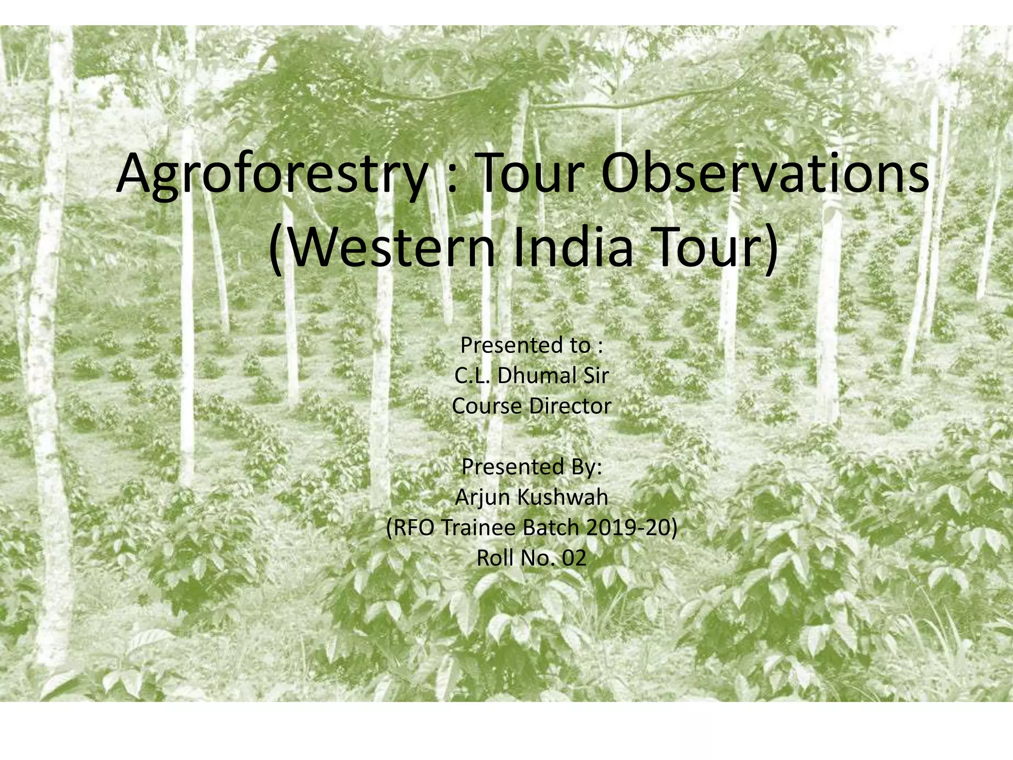 Agroforestry in India and Gujrat Model | PPTX
