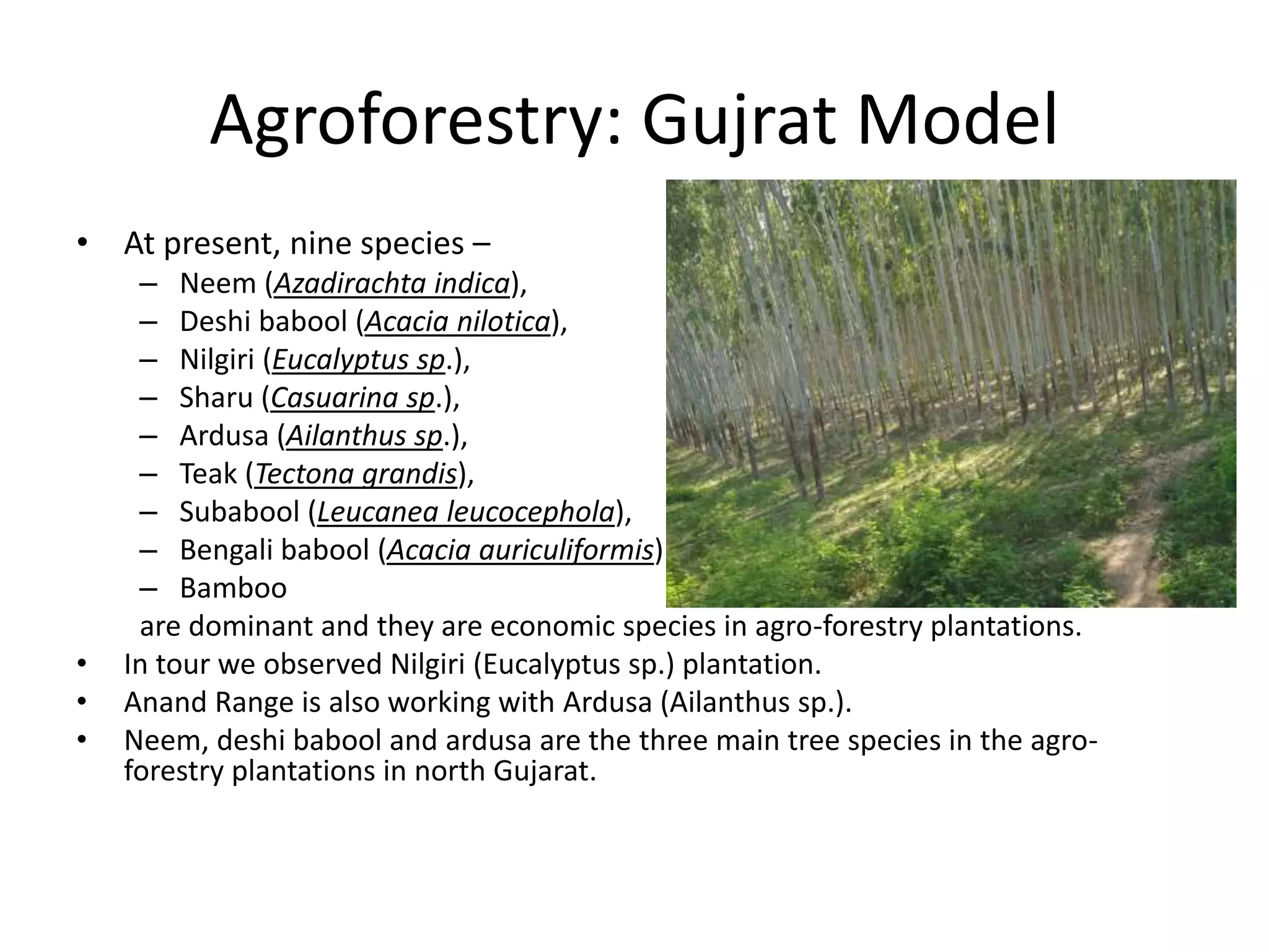 Agroforestry in India and Gujrat Model | PPTX