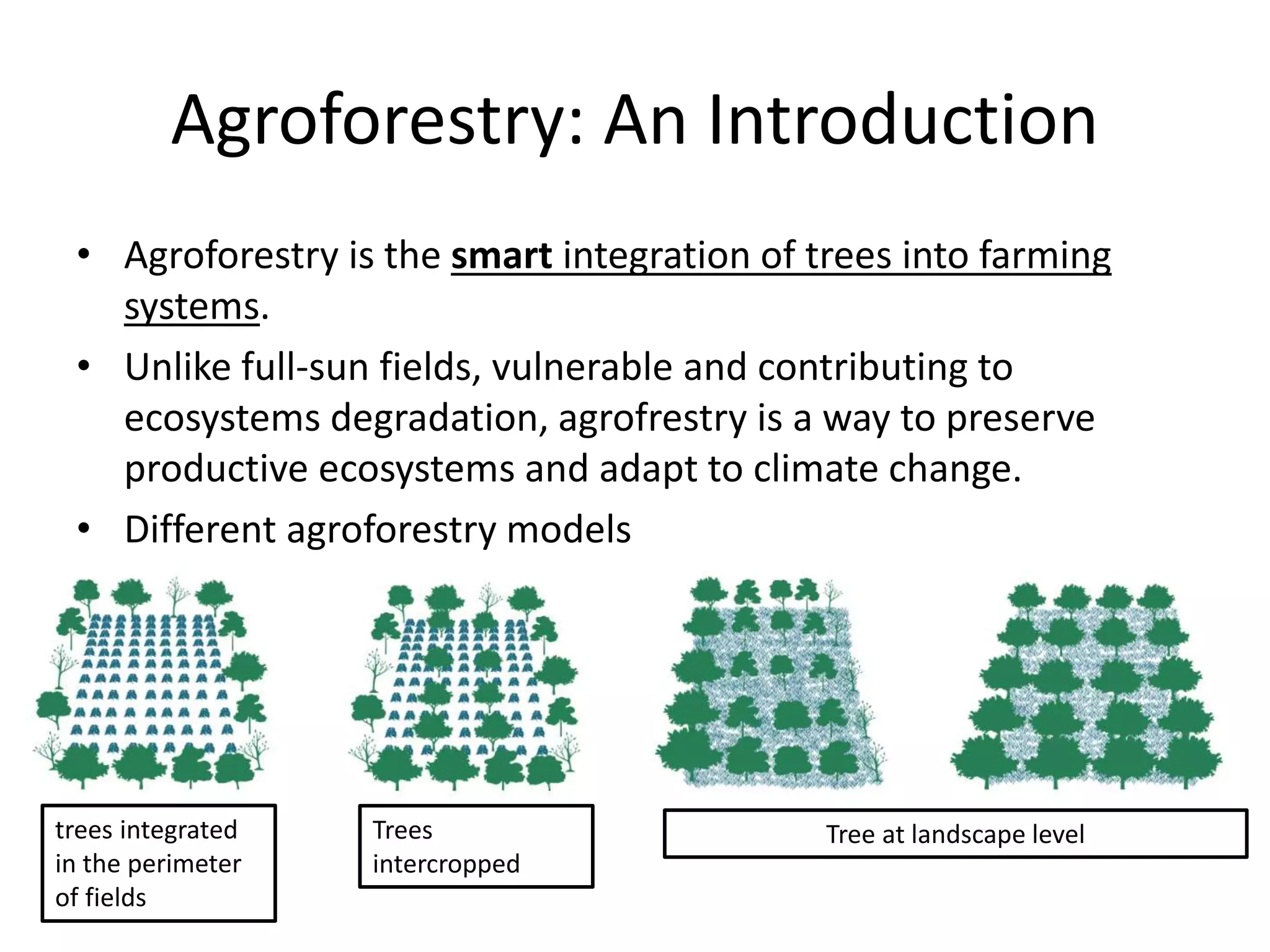 Agroforestry in India and Gujrat Model | PPTX