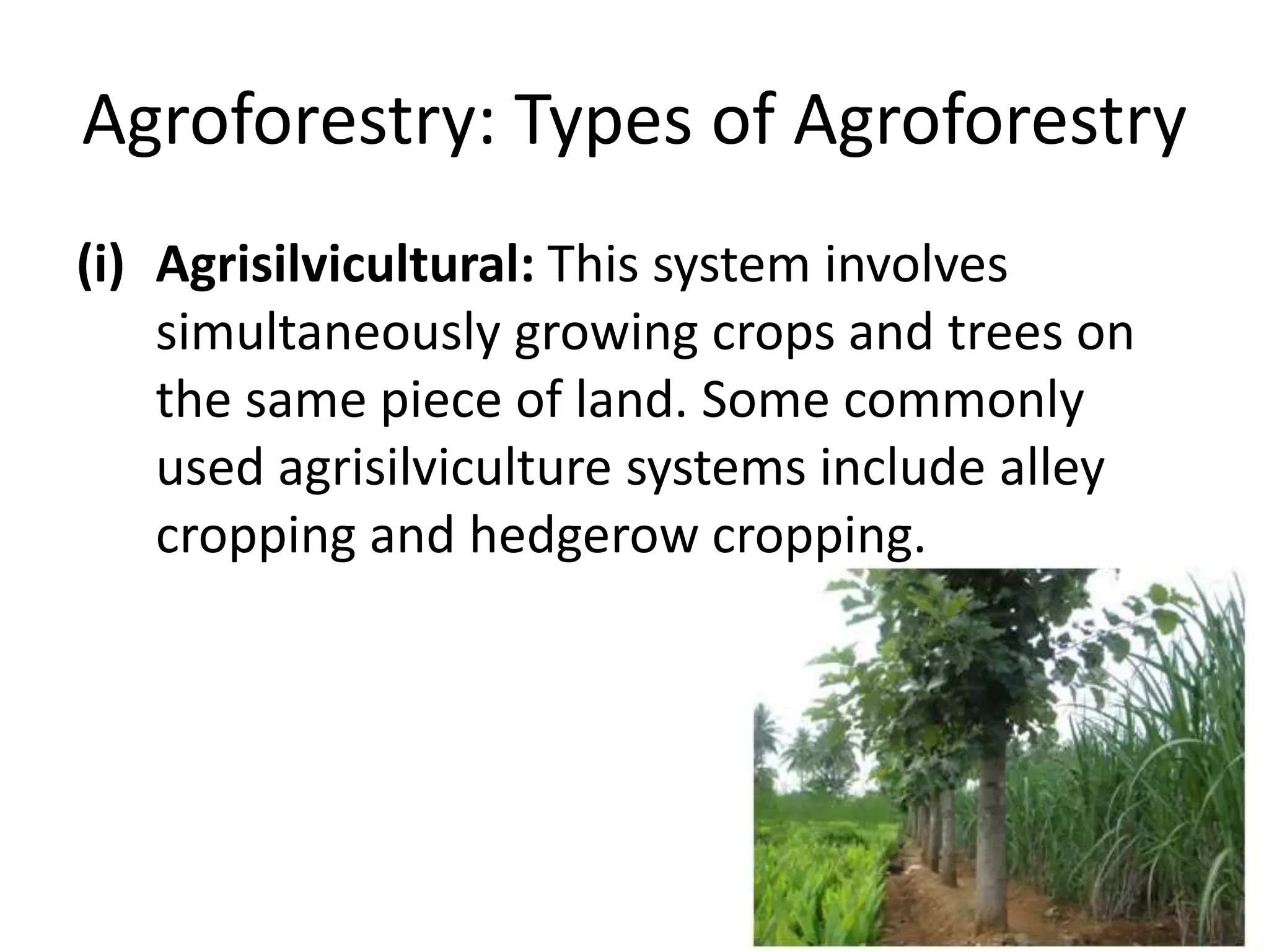 Agroforestry in India and Gujrat Model | PPTX