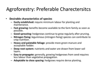 Agroforestry in India and Gujrat Model | PPTX