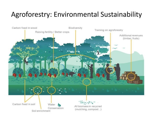 Agroforestry in India and Gujrat Model | PPTX