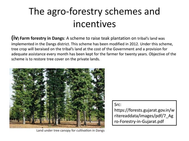 Agroforestry in India and Gujrat Model | PPTX