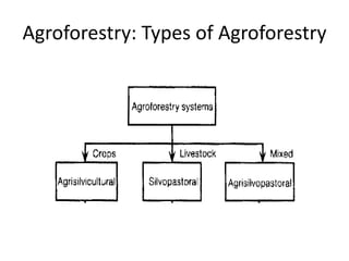 Agroforestry in India and Gujrat Model | PPTX