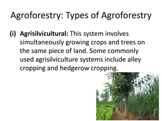 Agroforestry in India and Gujrat Model | PPTX