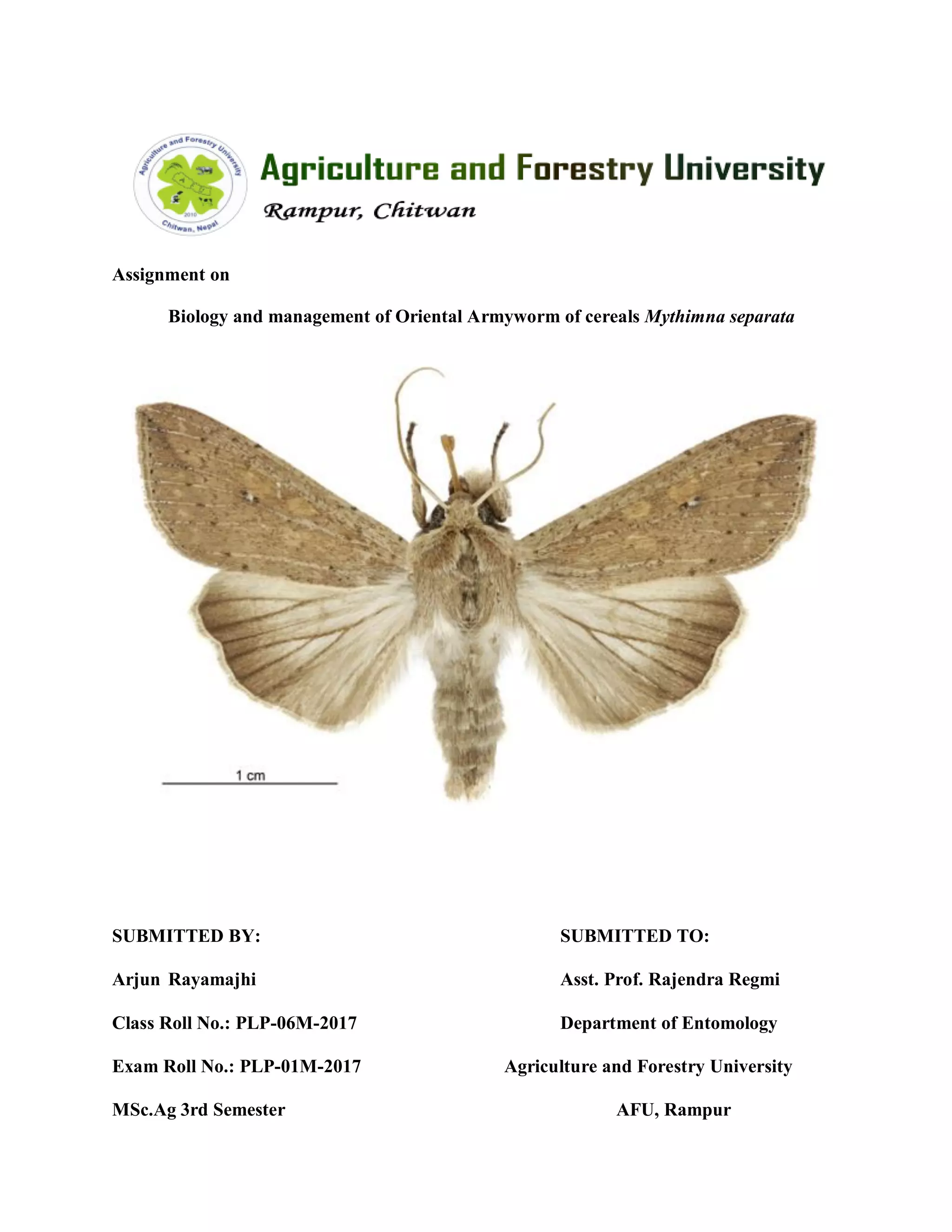 Biology and management of oriental armyworm mythimna separata | PDF