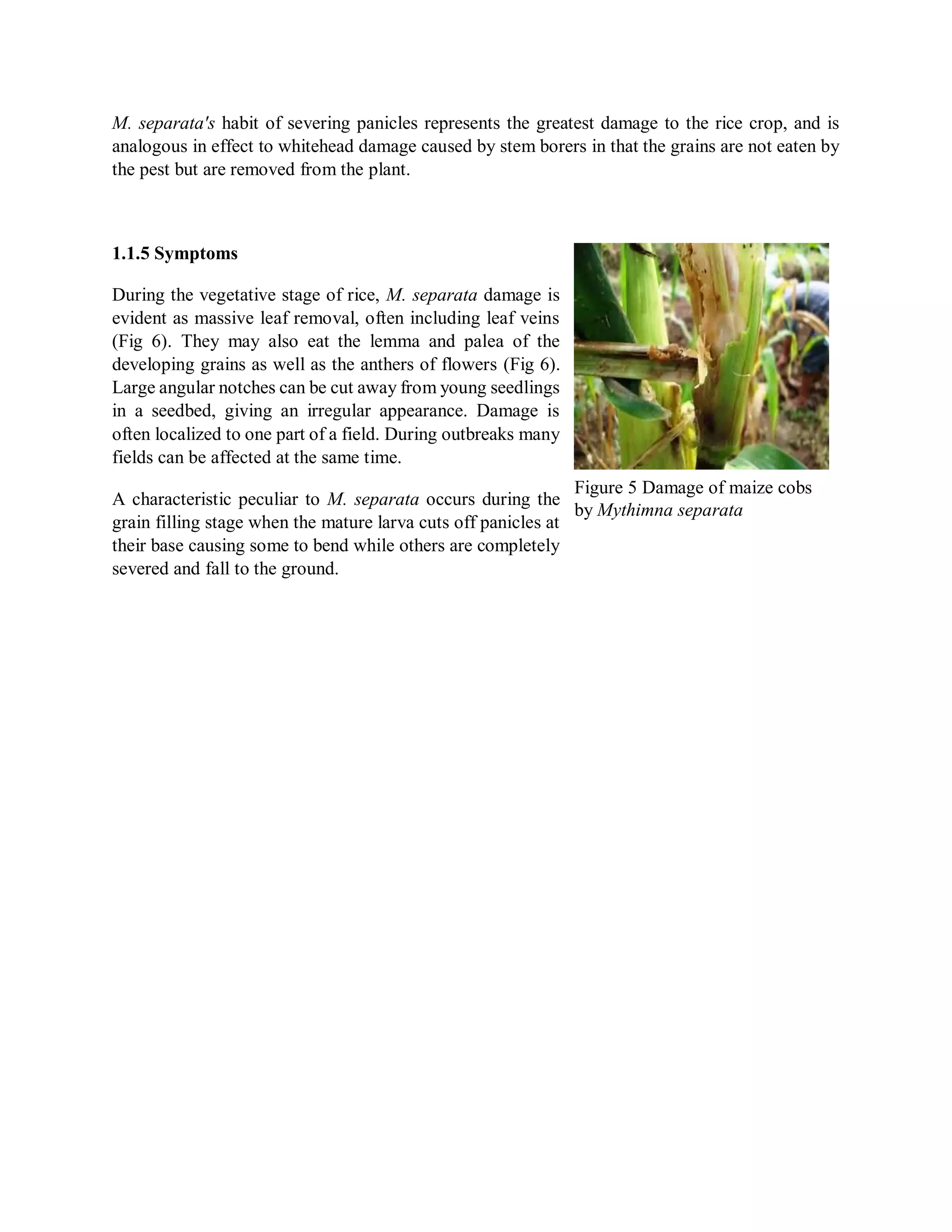 Biology and management of oriental armyworm mythimna separata | PDF
