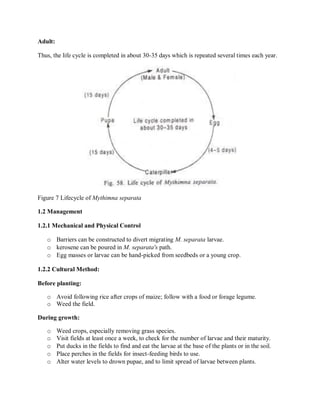 Biology and management of oriental armyworm mythimna separata | PDF