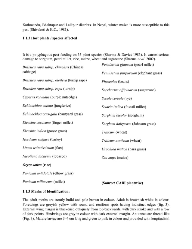 Biology and management of oriental armyworm mythimna separata | PDF ...