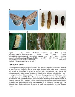 Biology and management of oriental armyworm mythimna separata | PDF