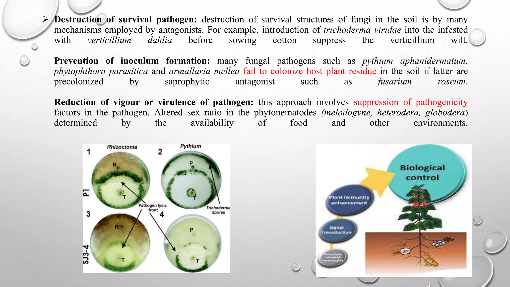 integrated disease management | PPTX