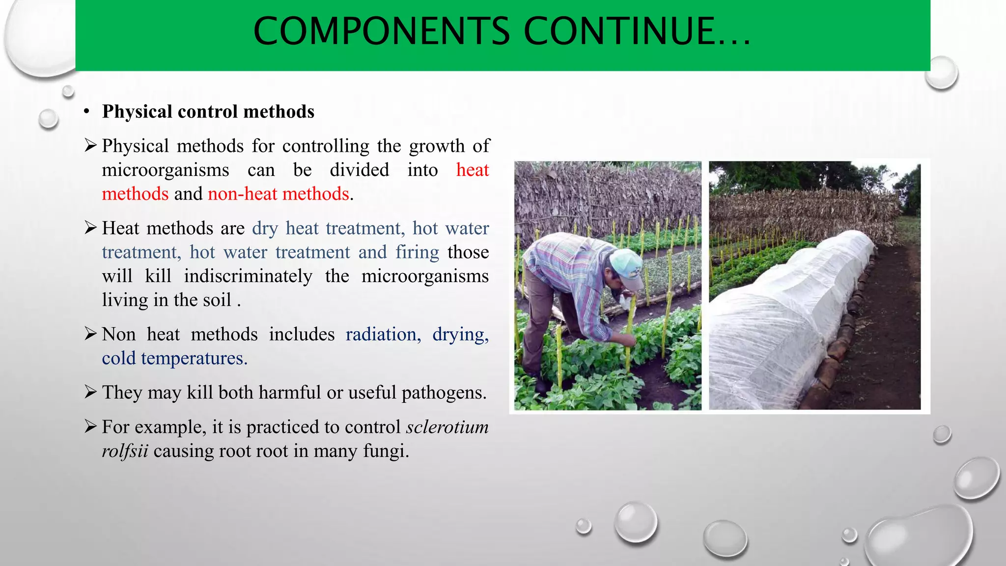 integrated disease management | PPTX