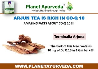 Numerous Health Benefits Of Arjun Tea - Terminalia Arjuna | PPTX ...