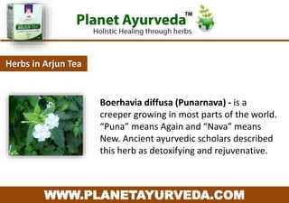 Numerous Health Benefits Of Arjun Tea - Terminalia Arjuna | PPTX ...