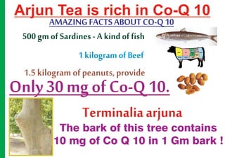 Arjun Tea Presentation | PDF