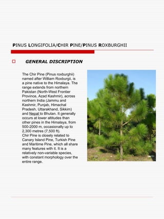 Arjun tree | PPT | Woodworking | Arts and Crafts